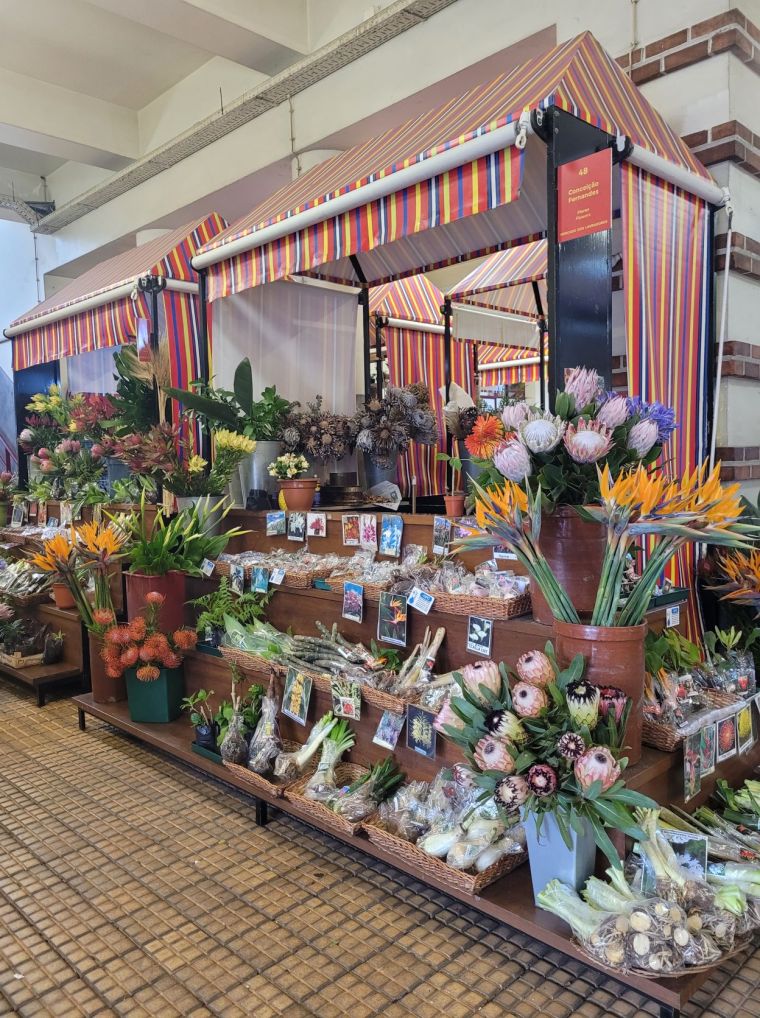 Funchal 2 giorni, cosa fare e cosa vedere nella capitale di Madeira ...