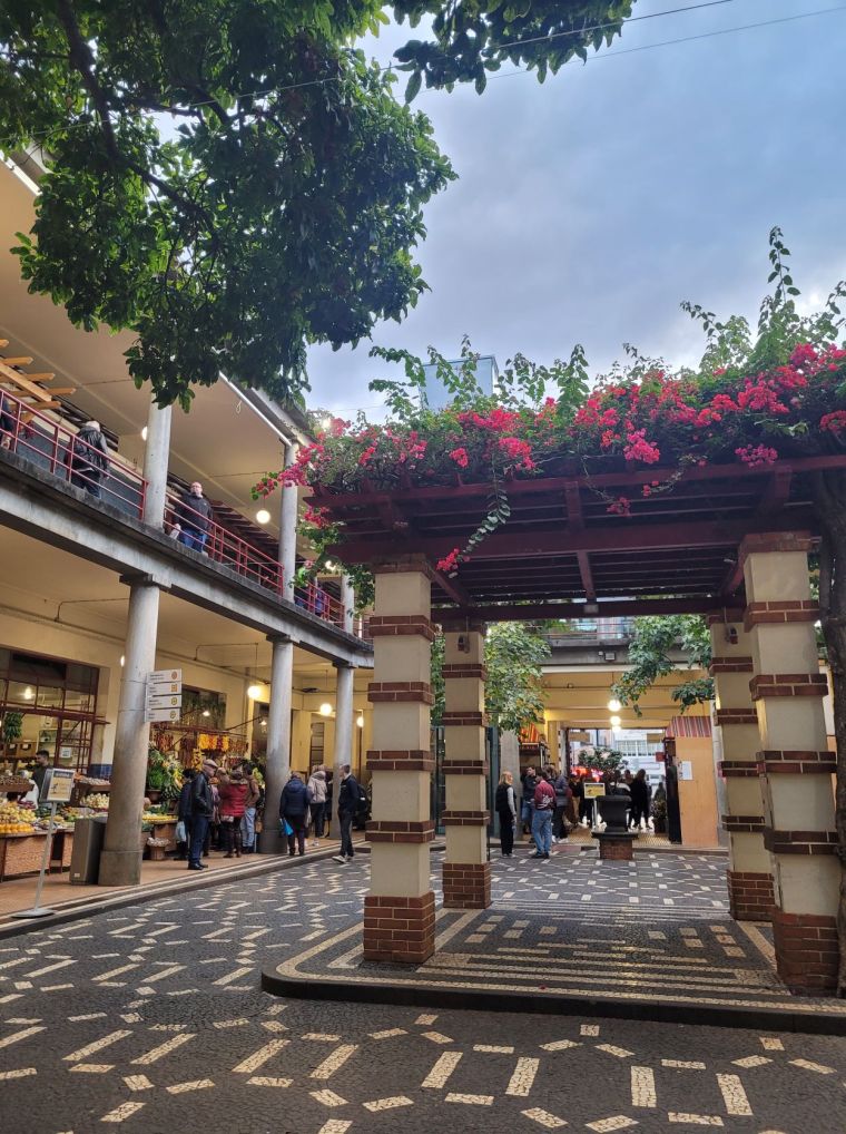 Funchal 2 giorni, cosa fare e cosa vedere nella capitale di Madeira ...