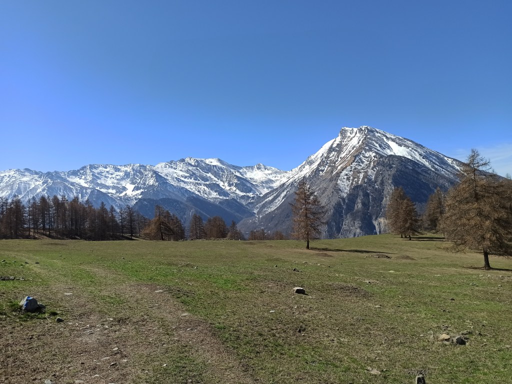 Sentiero dei Ginepri a Foresto, percorso facile nel Parco Naturale ...